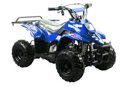 COOLSTER 3050C 110CC ATV Wholesale ATV