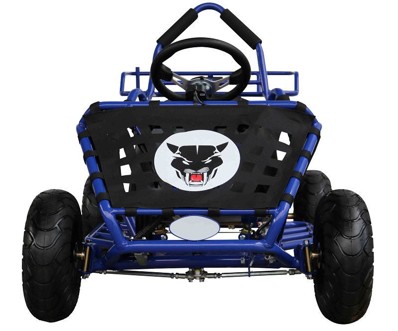 Electric go kart