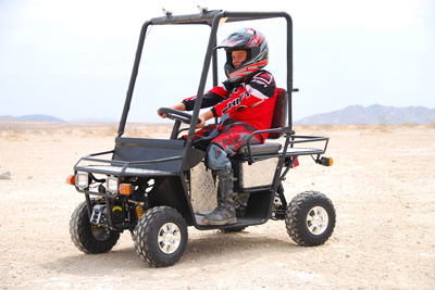 Mini 110cc Utility Vehicle MUV110B